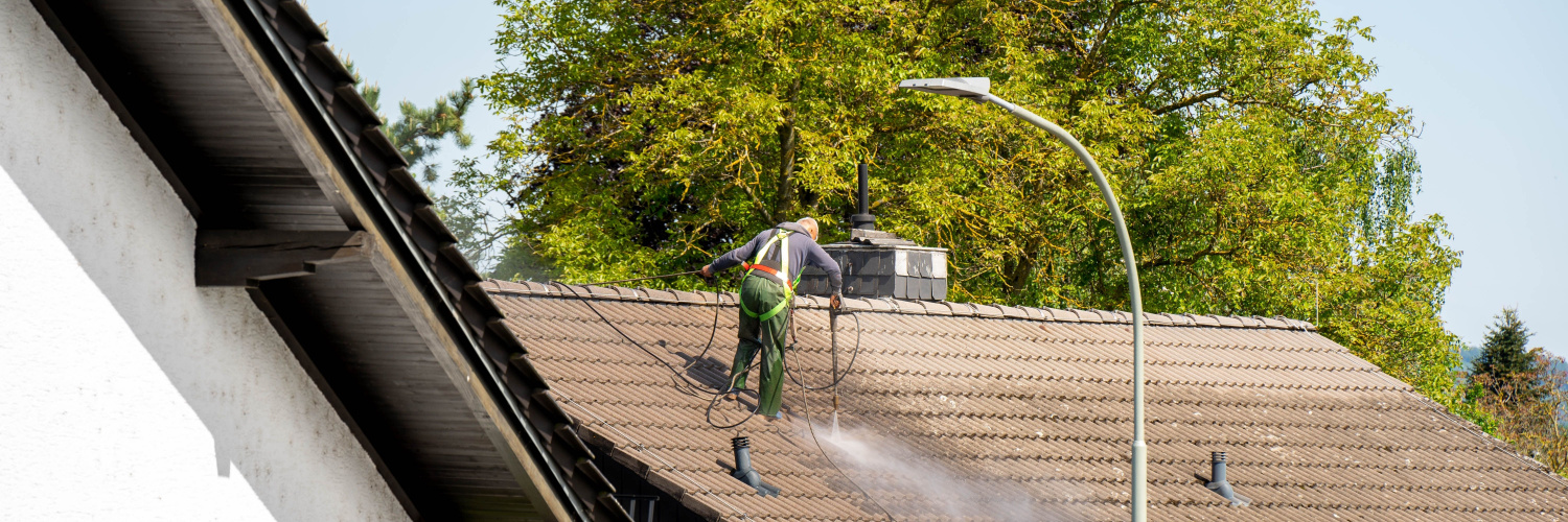 Soft Wash Roof Cleaning in St. Louis | Residential and Commercial ...